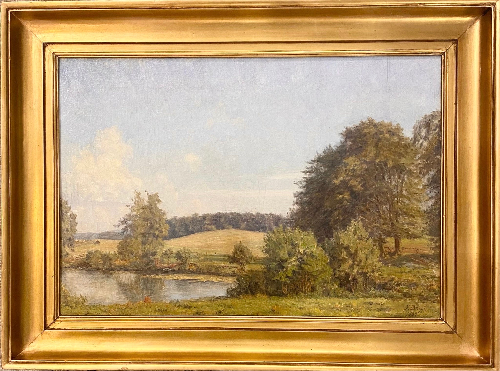 The Fox Market and Shop by The Fox Group