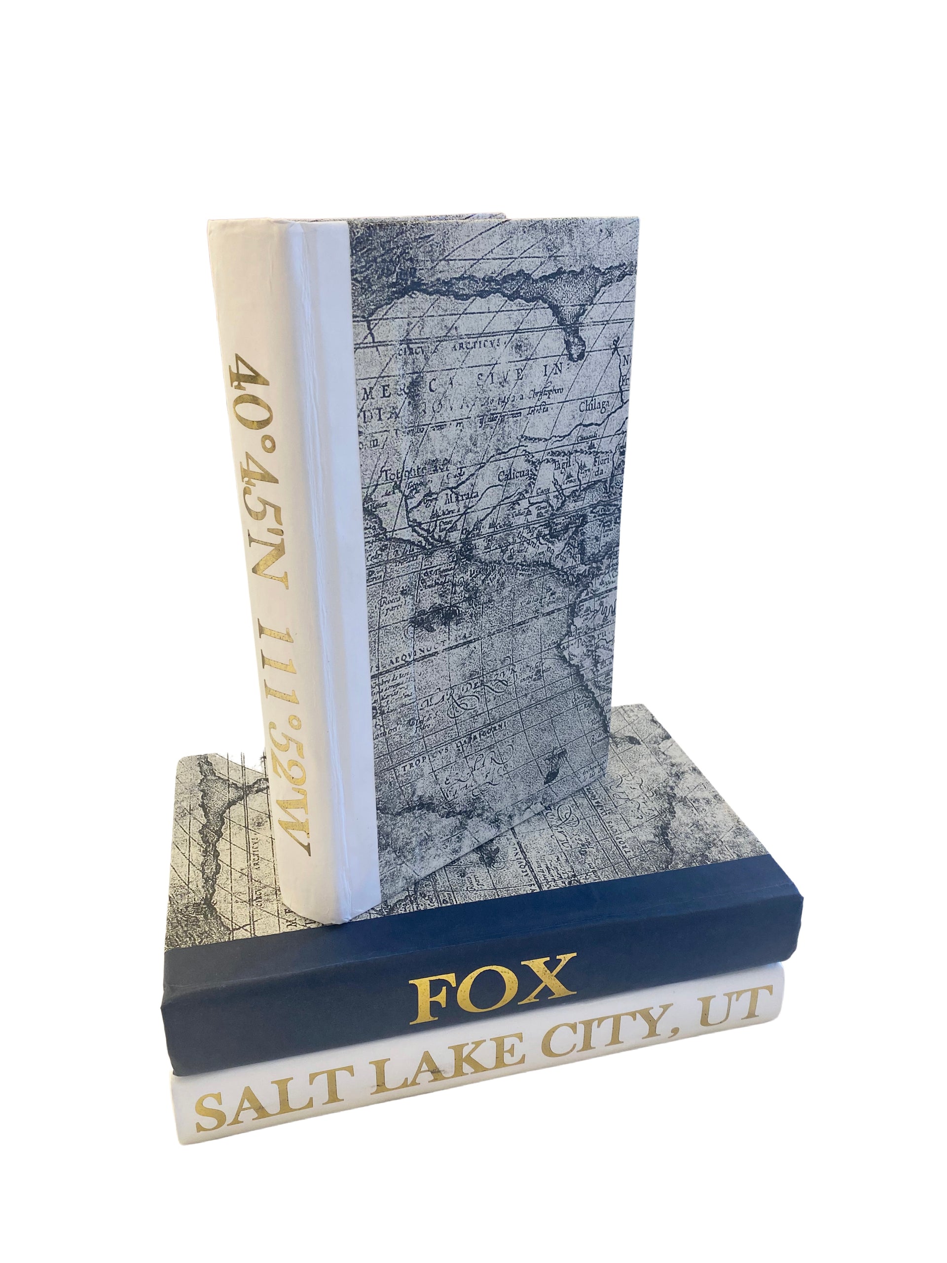 Custom Book Cover – The Fox Group